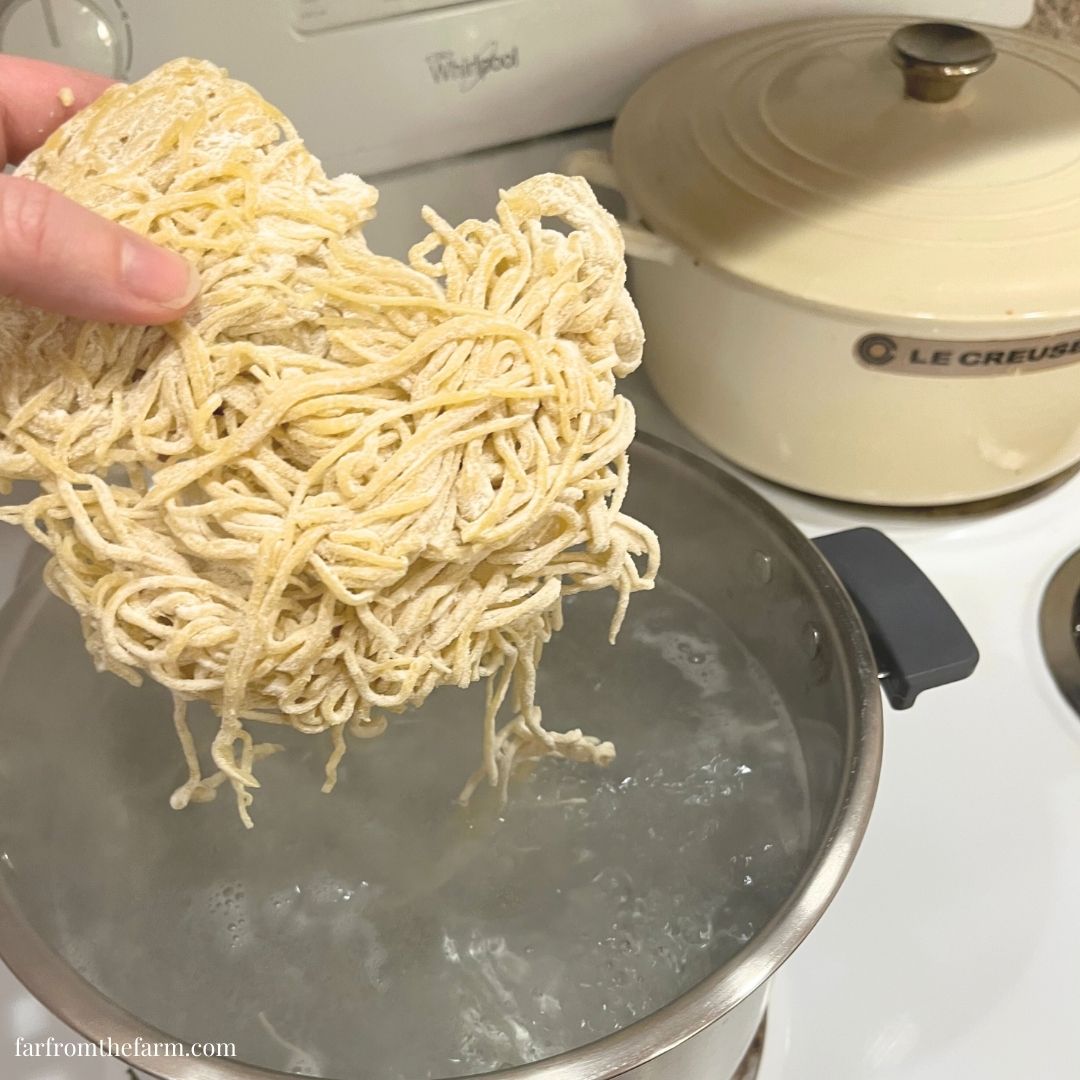 How to Freeze, Store and Cook Your Fresh Egg Pasta - Far From The Farm
