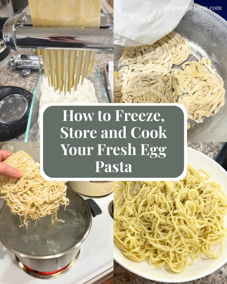 How to Freeze, Store and Cook Your Fresh Egg Pasta - Far From The Farm