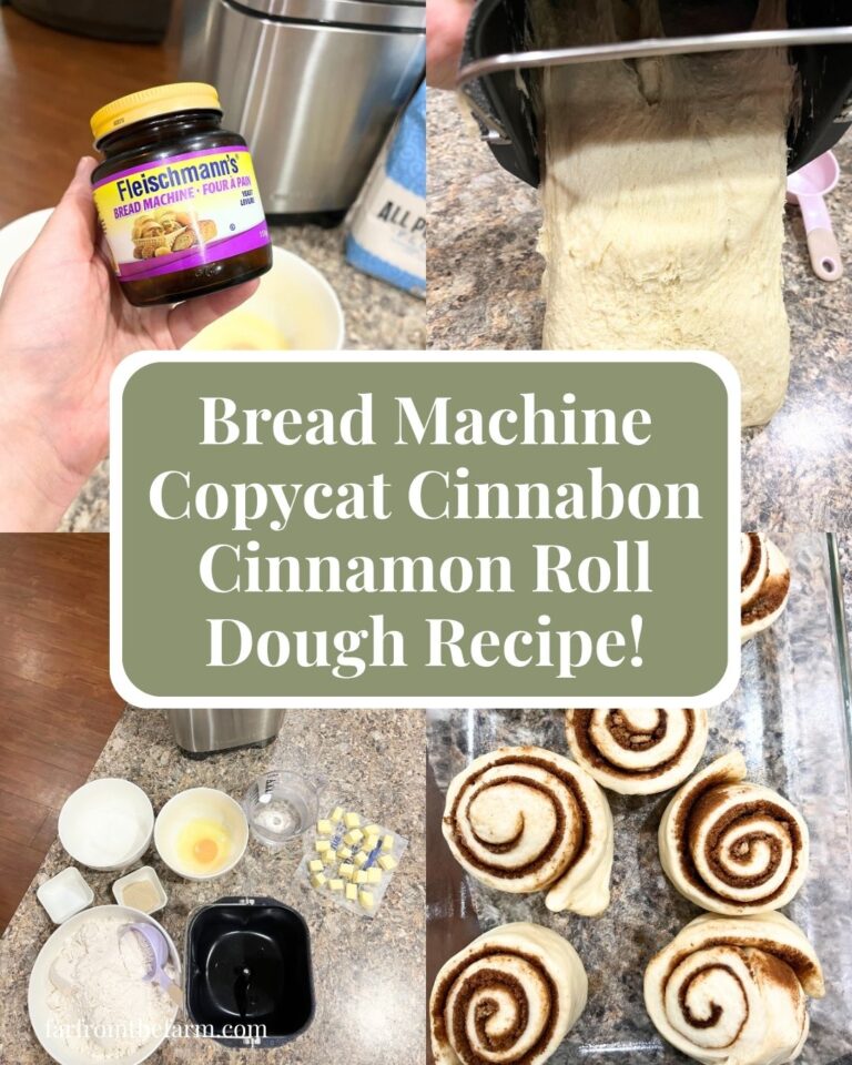 Basic Bread Machine Cinnamon Roll Dough Recipe! - Far From The Farm