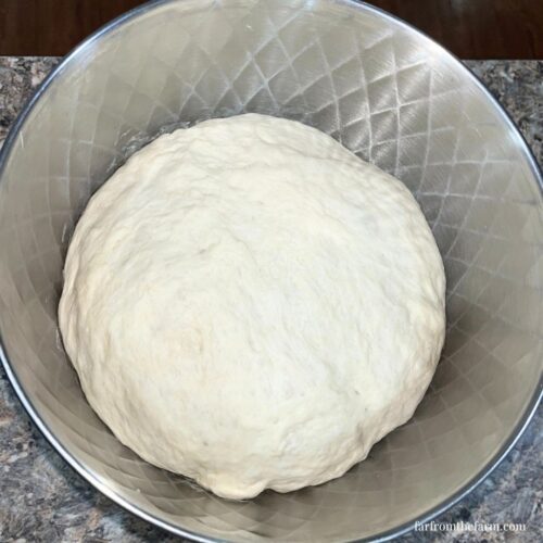 Basic KitchenAid Mixer Pizza Dough Recipe - Far From The Farm