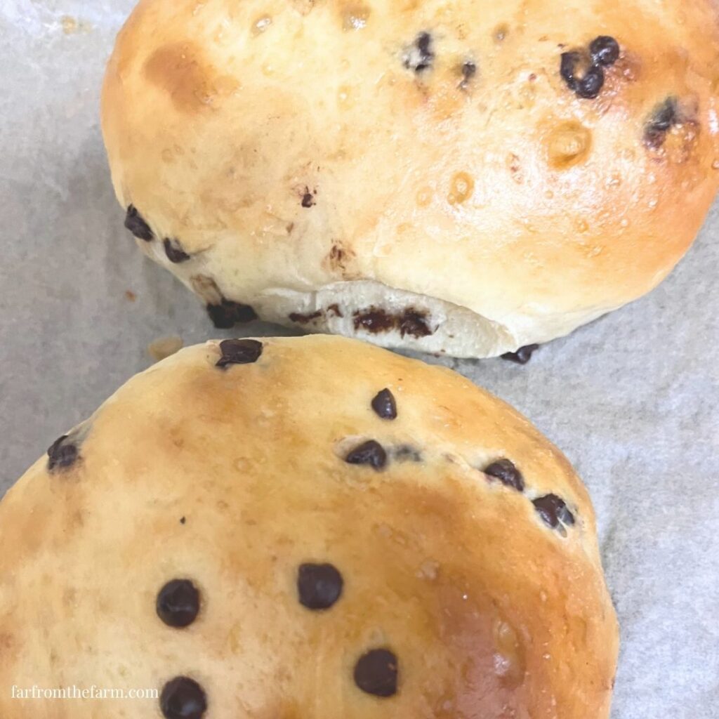 Easy French-Style Chocolate Chip Brioche Rolls Bread Machine Recipe ...