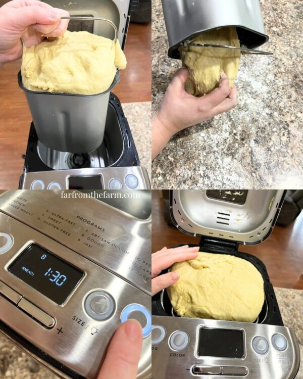 Easy French-Style Chocolate Chip Brioche Rolls Bread Machine Recipe ...